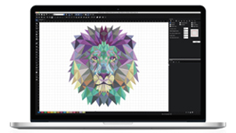 Chroma Digitizing Software | Embroidery machines - Ricoma